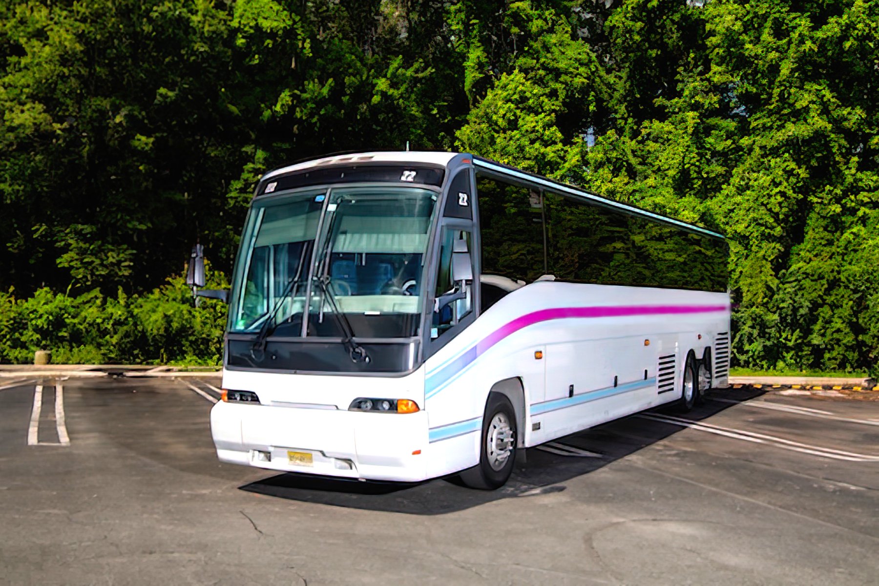 56 PASSENGER MOTOR COACH (56 pass), $200 hour